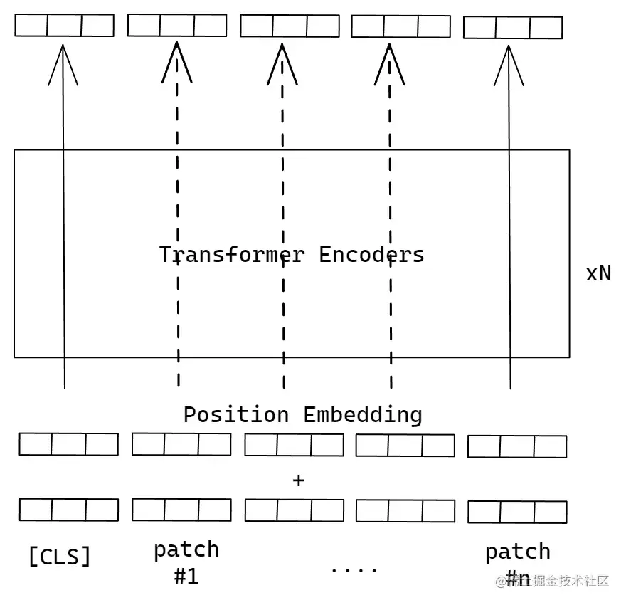 用Vision Transformer进行图像分类如何在基于Transformer的模型帮助下对图像进行分类 自201 - 掘金
