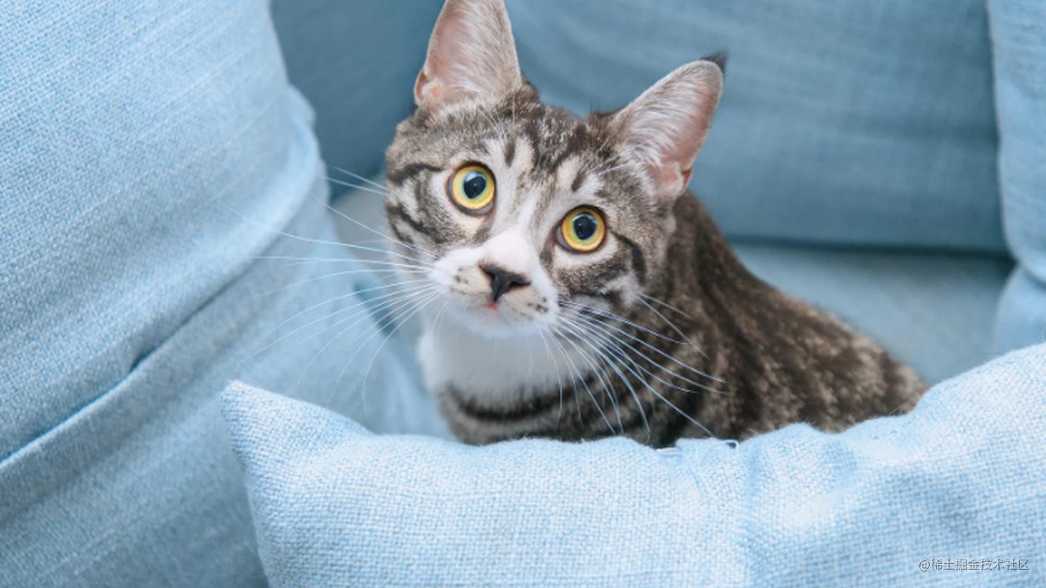 数据推送解决方案之eventSource实战应用 - 掘金