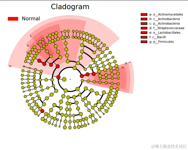 易宏基因组分析流程--记录 - 掘金