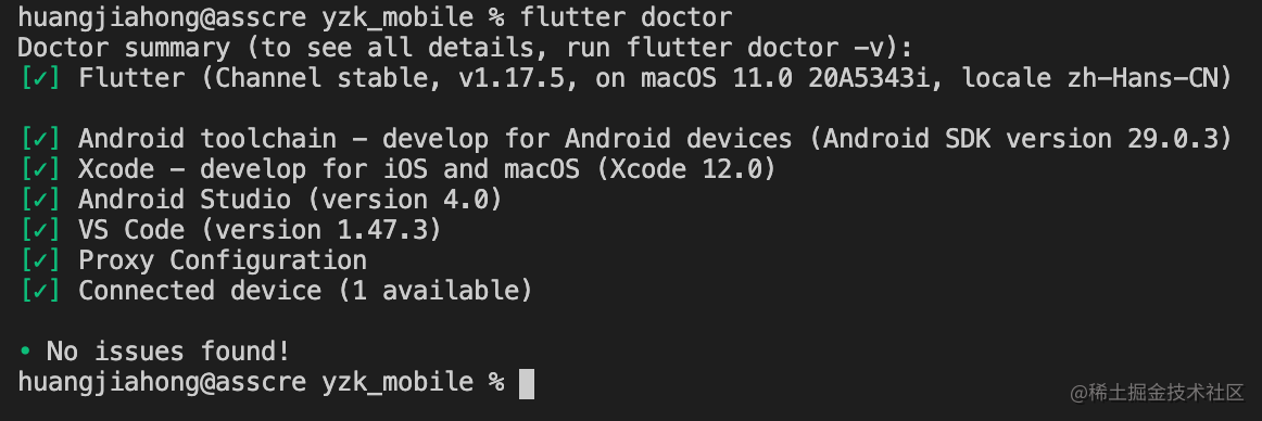 【Flutter开发技巧】Error connecting to the service protocol: failed to connect - 掘金