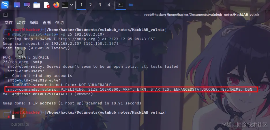 【Vulnhub通关】HackLAB：Vulnix准备工作 靶机基本信息 信息收集 主机发现 在Kali Linux中， - 掘金