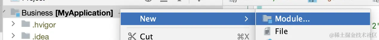 鸿蒙应用开发-初见：Hvigor鸿蒙的构建系统Hvigor提供了丰富的功能，可以帮助我们快速的制作马甲包和各种不同Lev - 掘金
