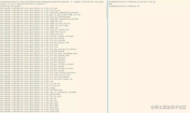 FlowGod——一款基于eBPF的流量捕获工具（进程级别） - 掘金