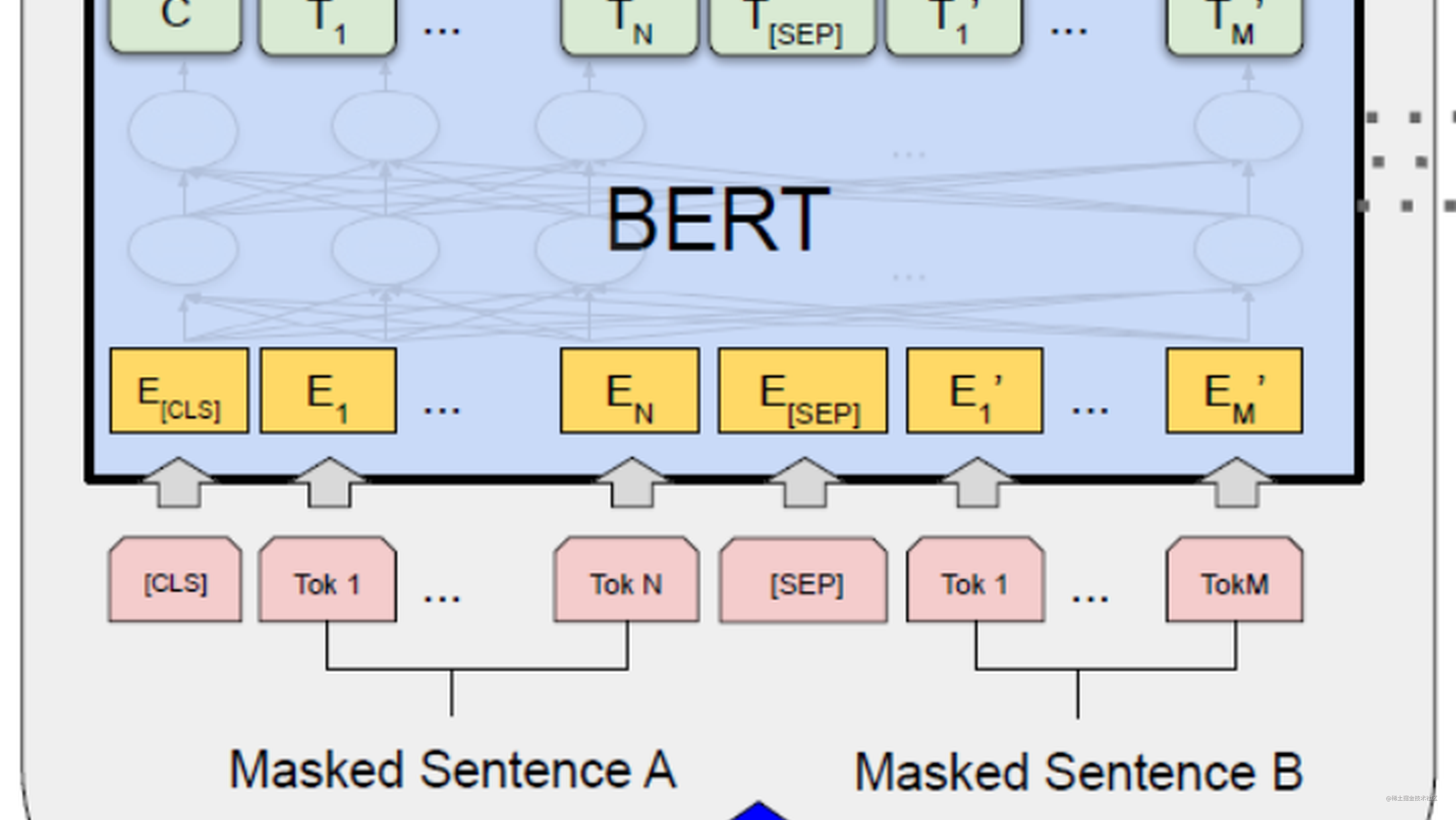彻底理解 Google BERT 模型 - 掘金
