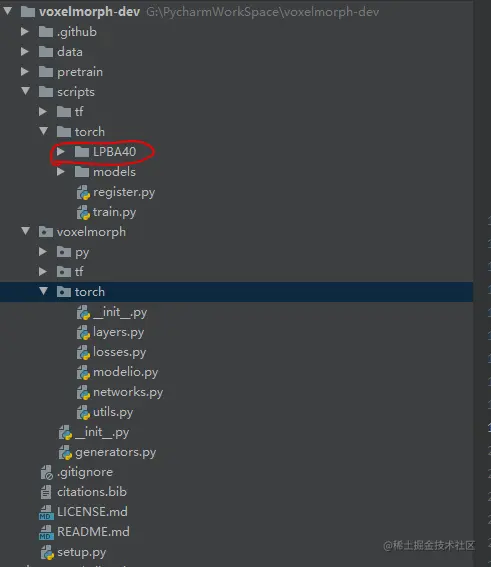 使用pytoch训练SynthMorph持续创作，加速成长！这是我参与「掘金日新计划 · 10 月更文挑战」的第11天， - 掘金