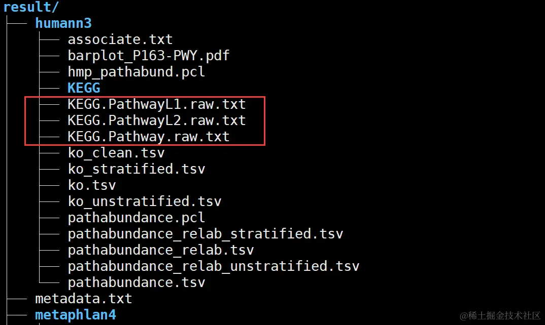 易宏基因组分析流程--记录一、数据预处理 1、准备工作 1.1 查看工作目录 1.2 检查元数据文件格式 1.3 元数据 - 掘金