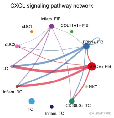 SC| CellChat实操 - 掘金