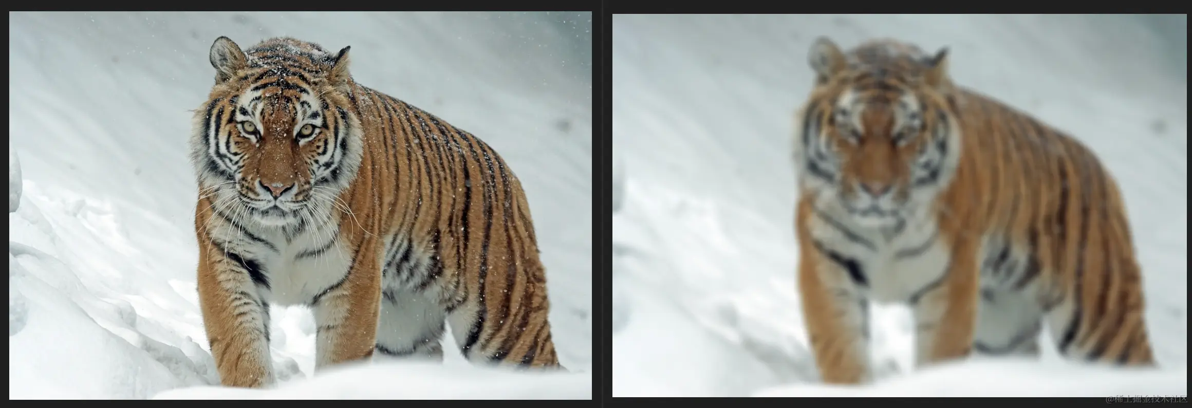 使用 ImageMagick 命令行工具处理图像常用命令ImageMagick 是一款免费的开源命令行工具，允许用户执行 - 掘金