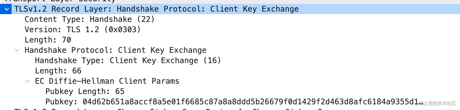 【计算机网络】TCP / TLS 握手原理及实践 - 掘金